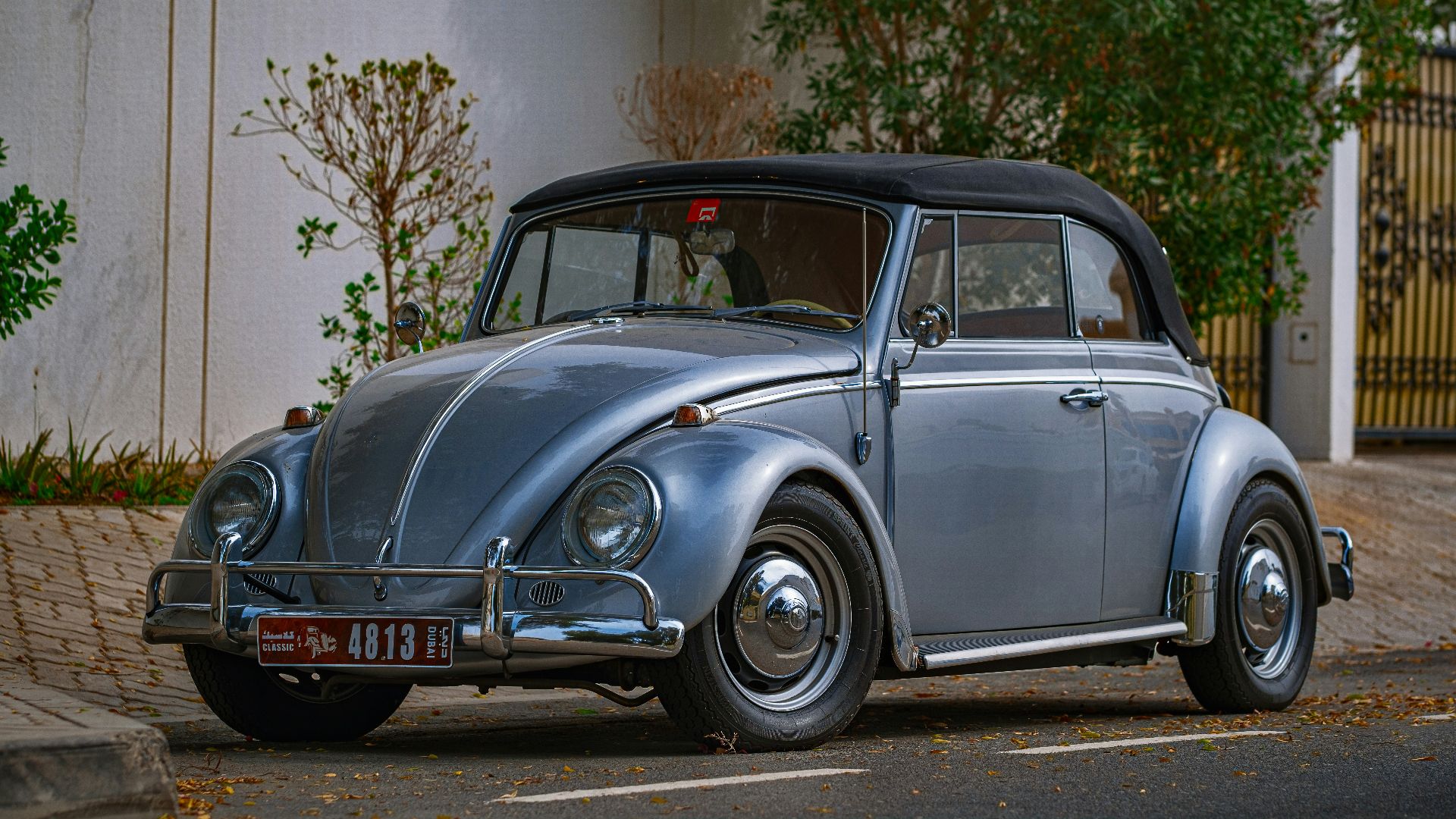 Driving Rabbits & Pandas: 20 Cars Named After Animals - WealthyDriver