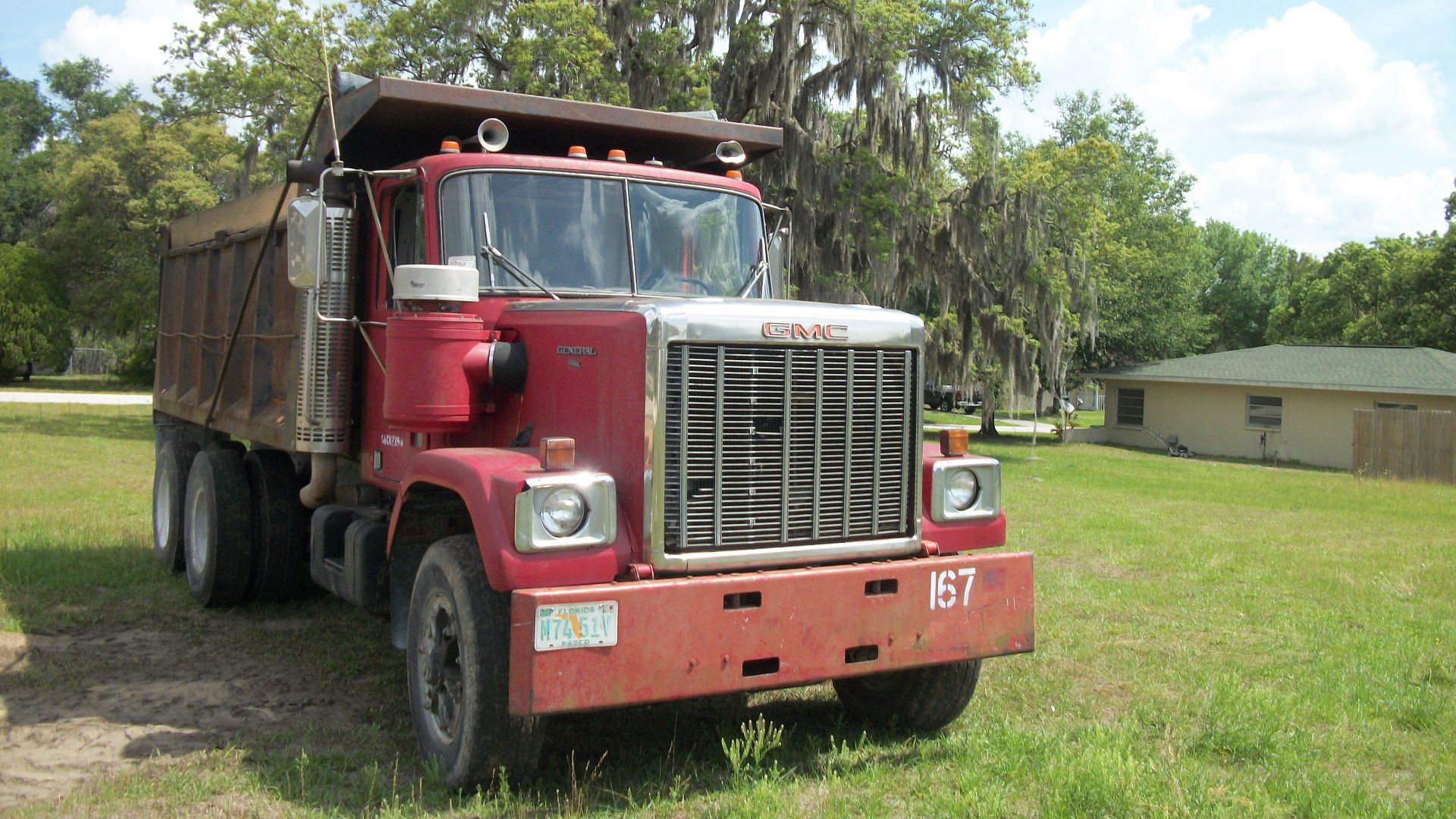 Driving Rabbits & Pandas: 20 Cars Named After Animals - WealthyDriver