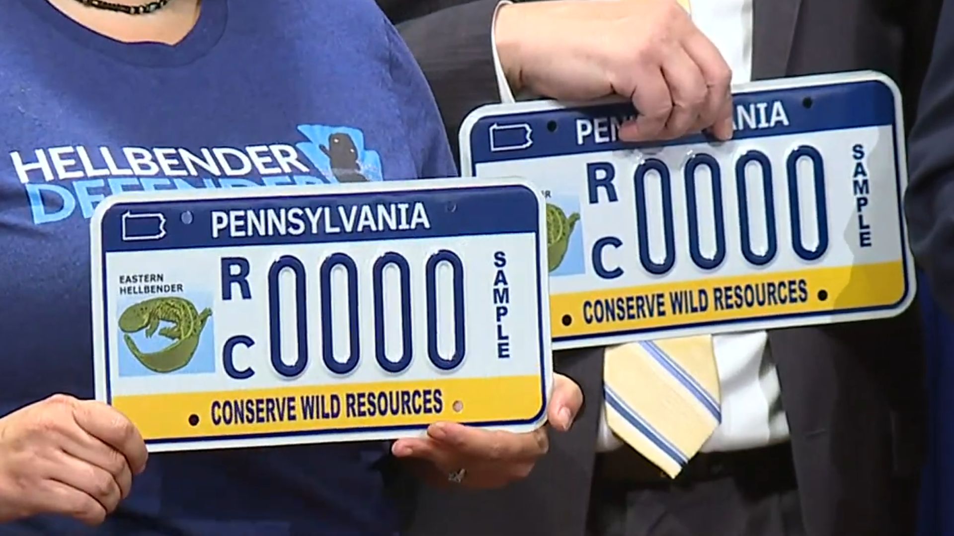 The 20 Coolest-Looking License Plates From Around The World - WealthyDriver